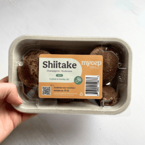 Shitake - Les jardins DiversiBio